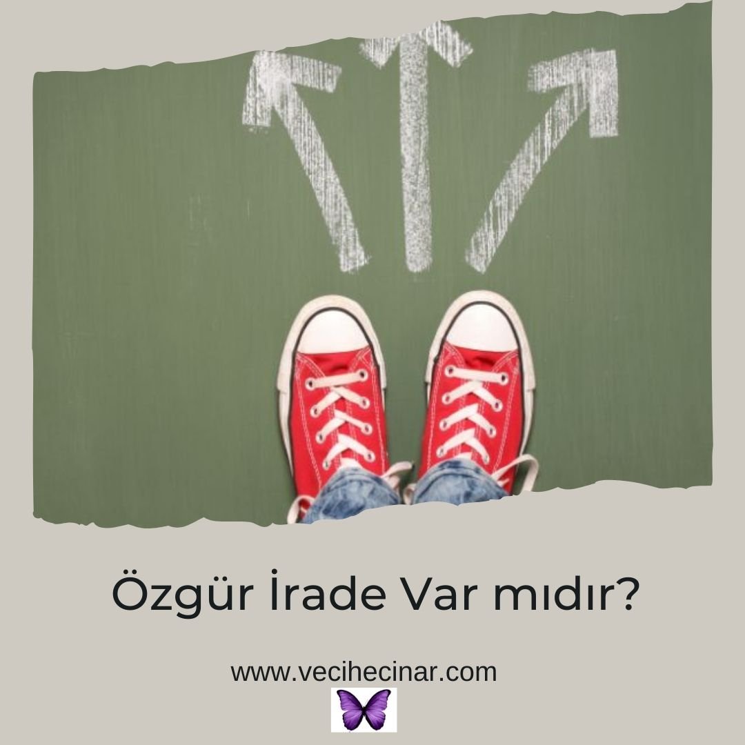 Özgür İrade Var mıdır? - Vecihe Çınar Kişisel Web Sitesi